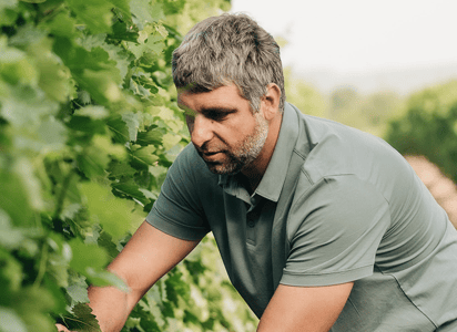 Bel Heritage Merlot Cabernet Sauvignon 2022 von Les Vignobles Foncalieu