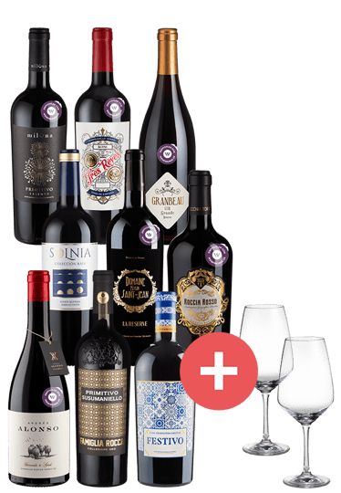 9er-Paket Weine des Jahres + GRATIS Schott-Zwiesel Gläser von