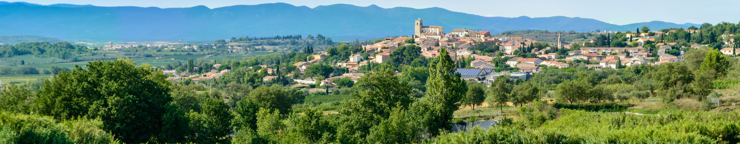 Minervois: Wein aus dem Languedoc » Weinfreunde Magazin
