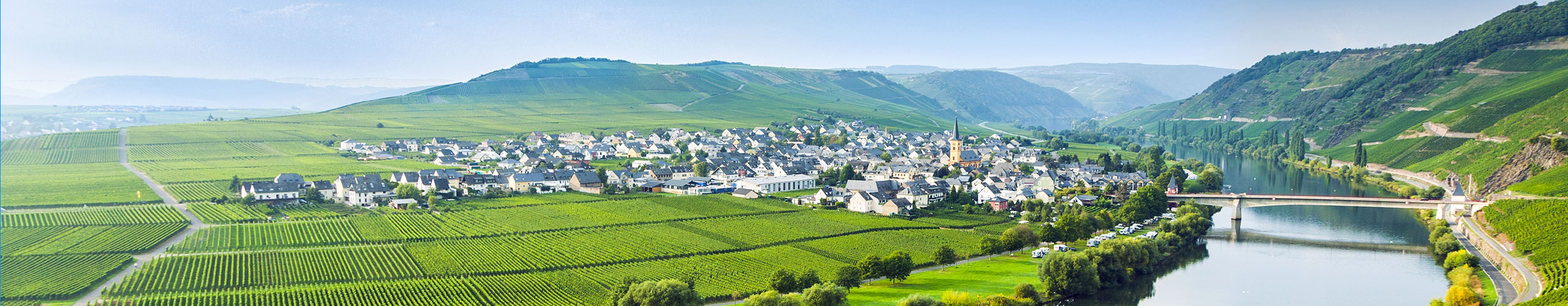 Weinland Deutschland - Alle Infos zum Weinbau in Deutschland