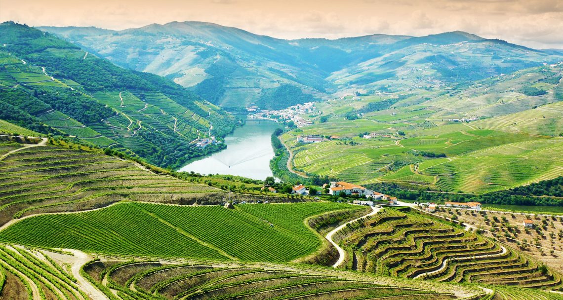 Portwein, Sherry & Co.: starkes Stück! | Weinfreunde Magazin