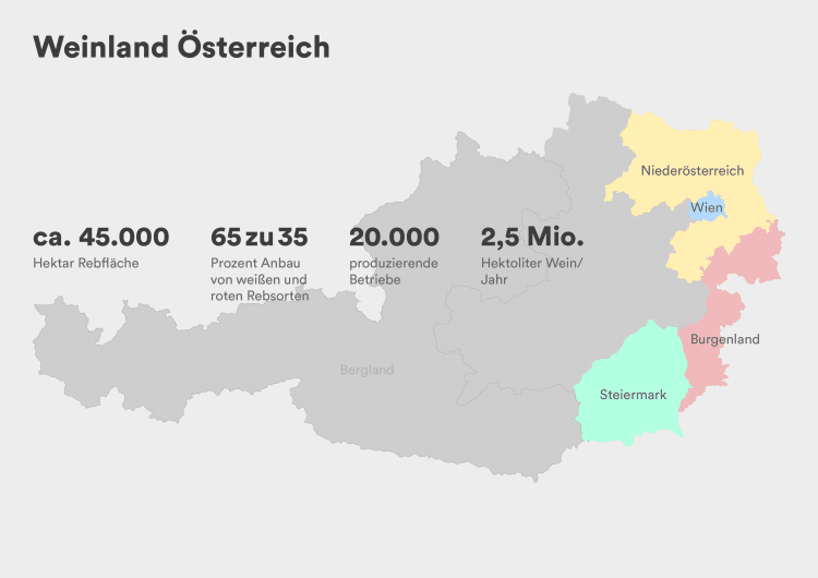 Weinland Österreich - Die Basics & die Region Niederösterreich