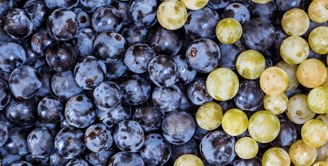 Was bedeutet Superiore? » Weinfreunde Magazin