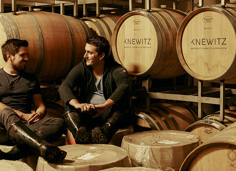 Knewitz Weine jetzt online bestellen | Weinfreunde